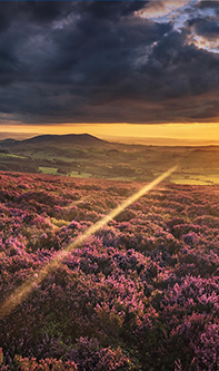 About Us - Shropshire Magazine